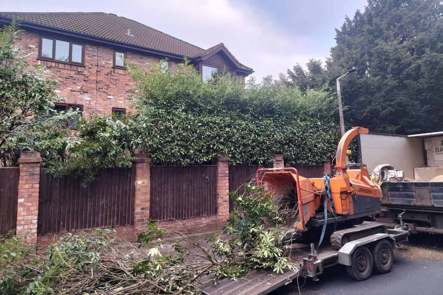 Tree Surgeon Cheadle - Tree Removal & Pruning - Bark & Branch