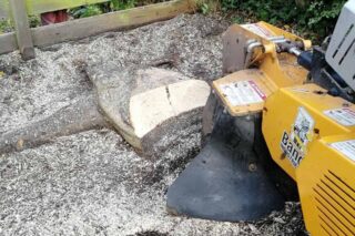 Tree Surgeon Manchester - Tree Services & Removal - Bark & Branch